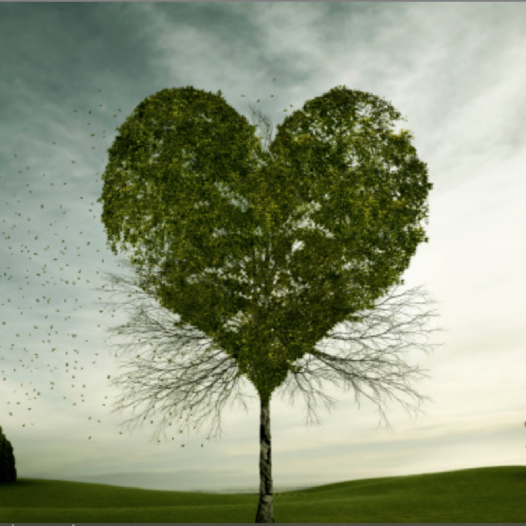 simone astro coach valori - Simone Astro Coach